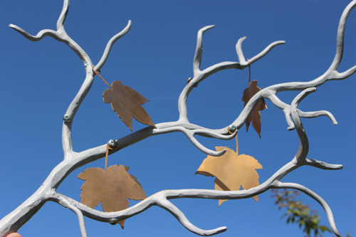 Memory Tree - St Peter's Hospice